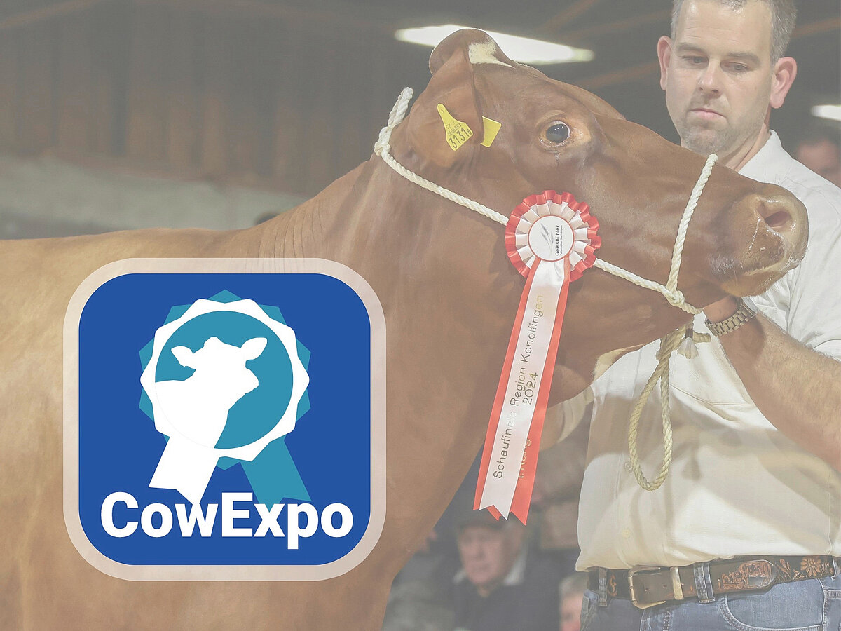 Der Schweizer Bauer: App «Cow Expo» für Viehschauen