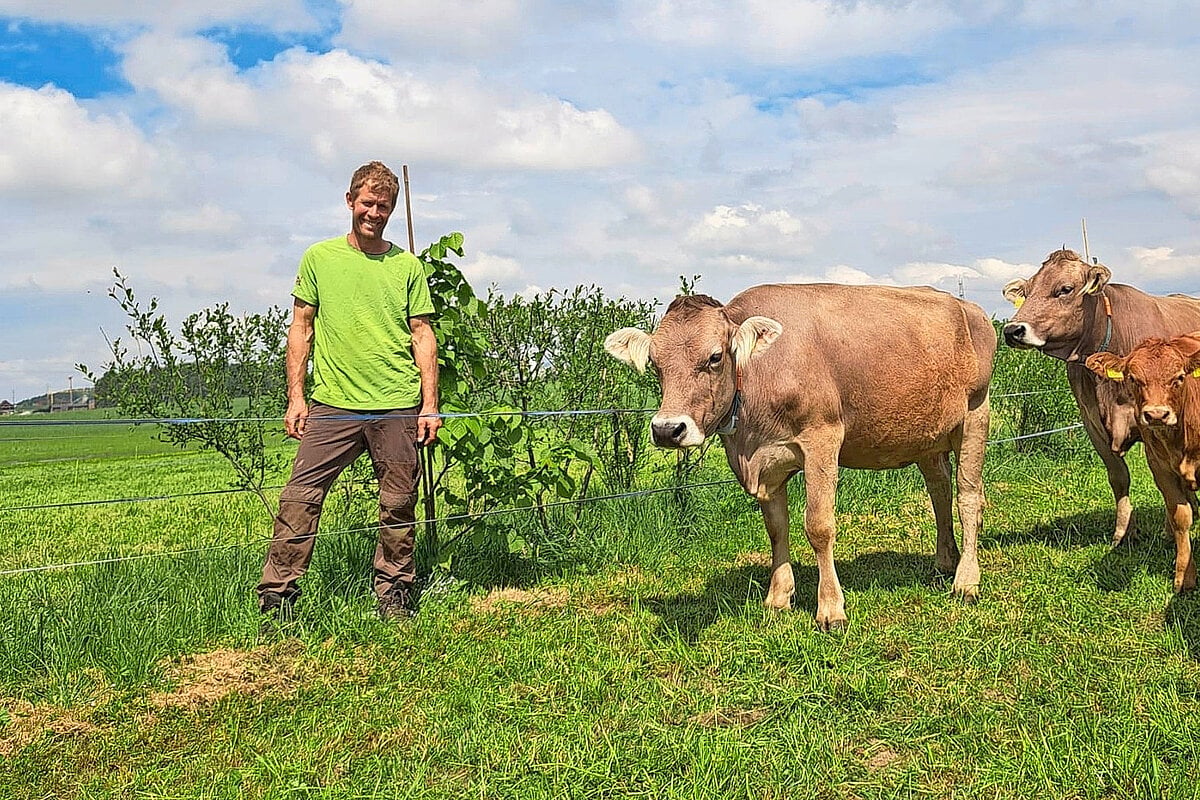 Futterhecken als Wurmkur und Eiweissquelle - Der Schweizer Bauer