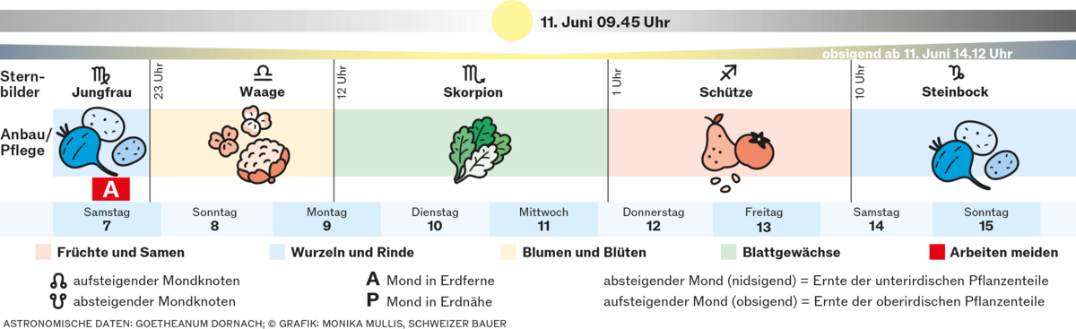 Der Schweizer Bauer: Mars zieht einsam seine Bahnen