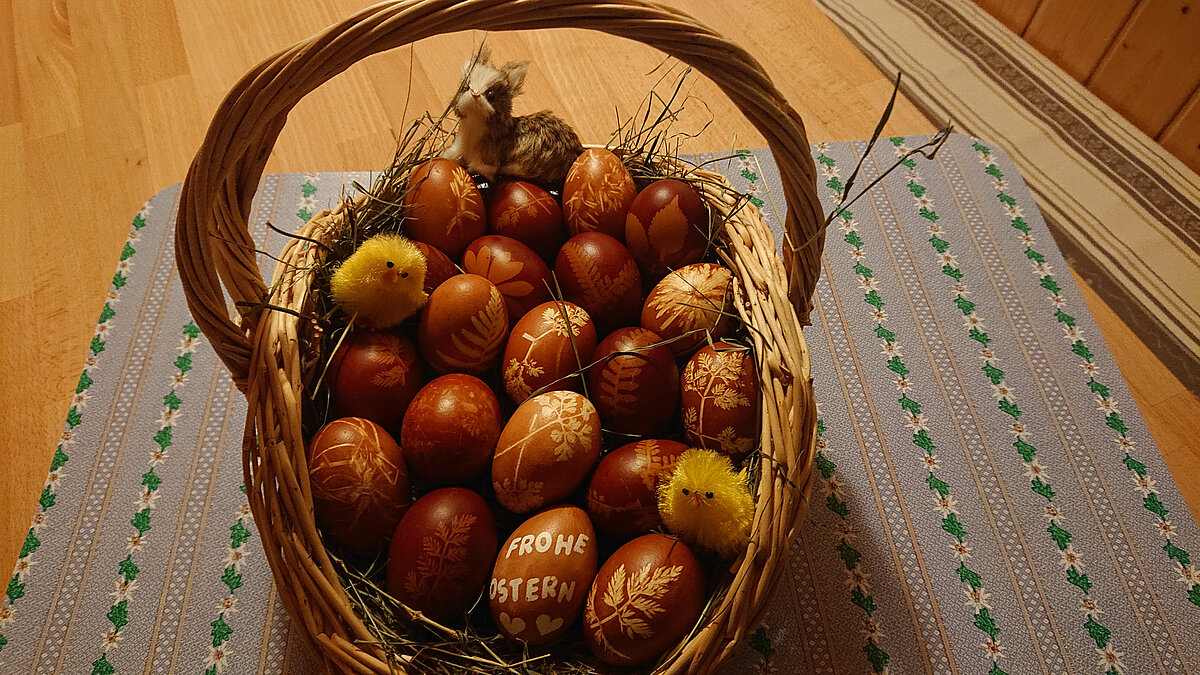 Der Schweizer Bauer: Schweizer essen immer mehr Eier