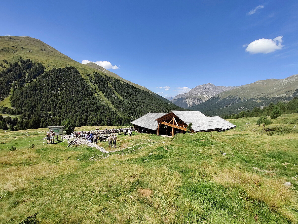 Der Schweizer Bauer: Alp vor Zerfall gerettet