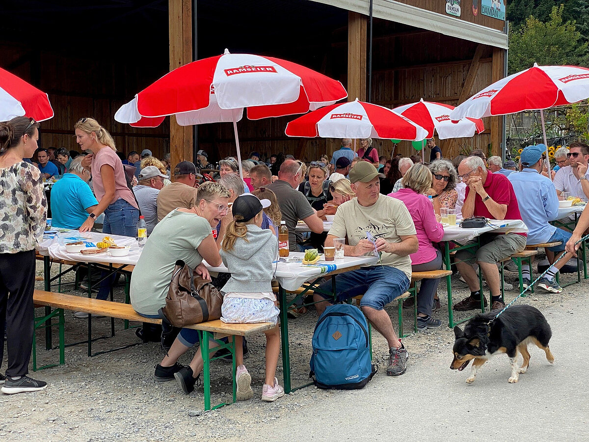 Pop-up-Boom: Temporäre Küchen erobern die Schweiz - Der Schweizer Bauer