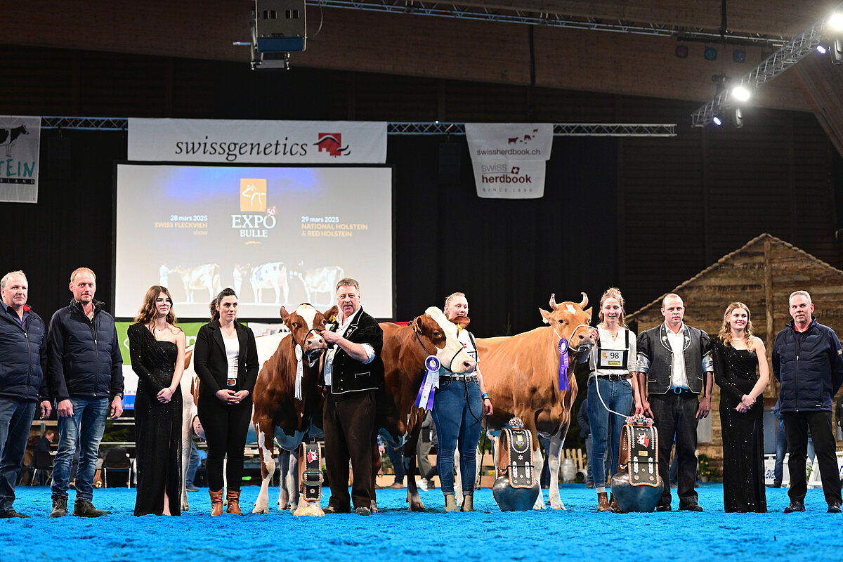 Expo Bulle: Nevada wird SF-Champion - Der Schweizer Bauer