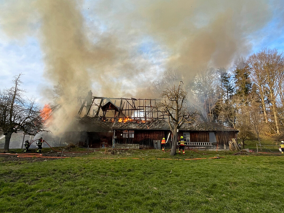 Der Schweizer Bauer: Stall komplett ausgebrannt