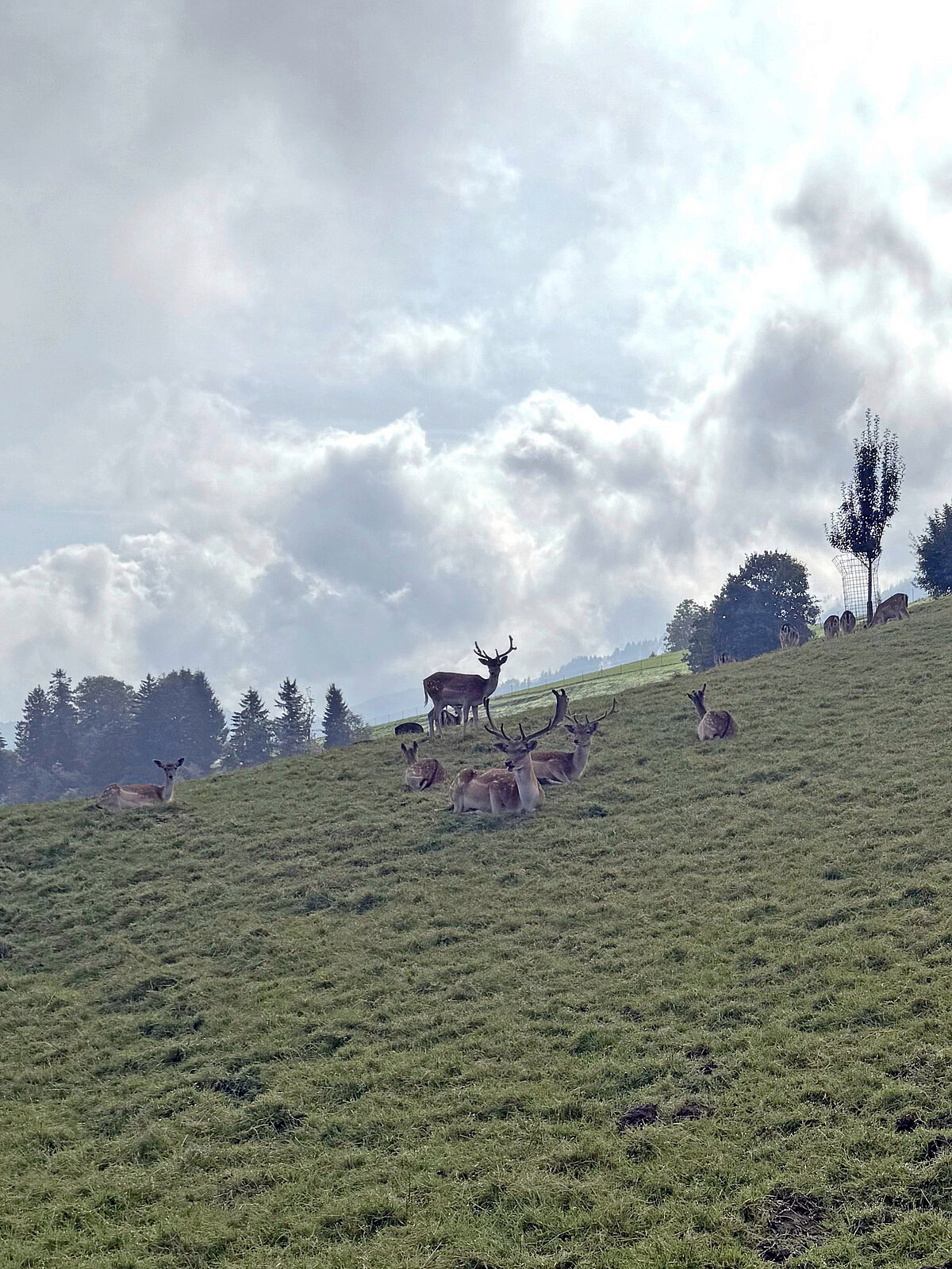 Der Schweizer Bauer: Schweizer Produzenten auf dem Markt etabliert