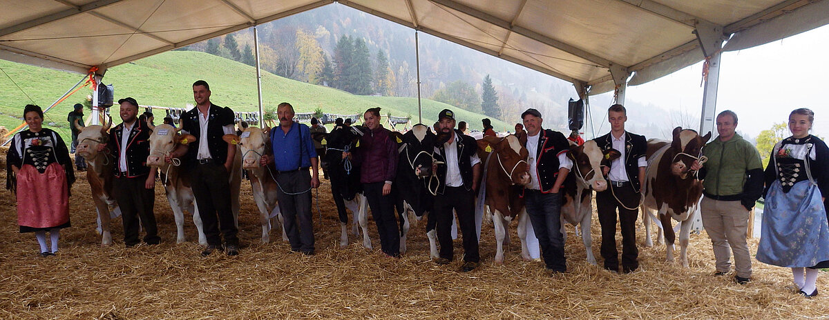 Jede Kuh heimste Lob ein - Der Schweizer Bauer