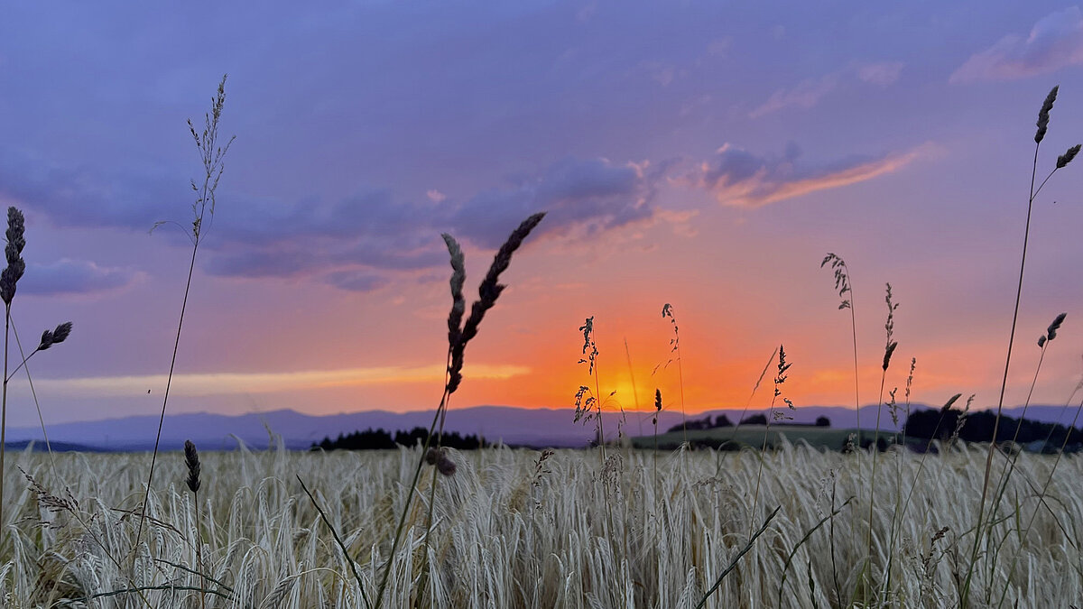 Der Schweizer Bauer: Echte Lebensqualität für Bauer und Bäuerin