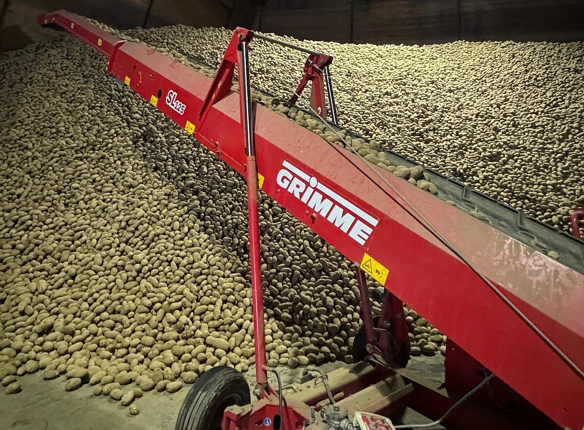So gehen Bauern und Händler gegen Kartoffelschwemme vor - Der Schweizer ...