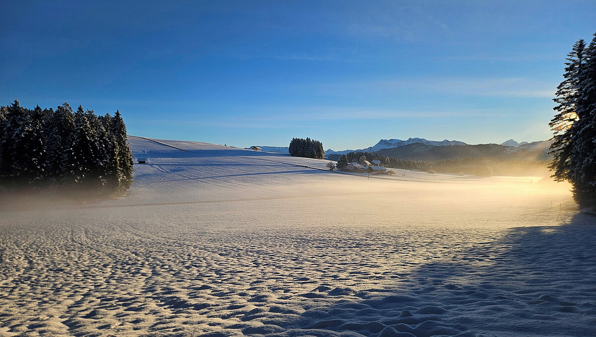 So war der Winter - Der Schweizer Bauer