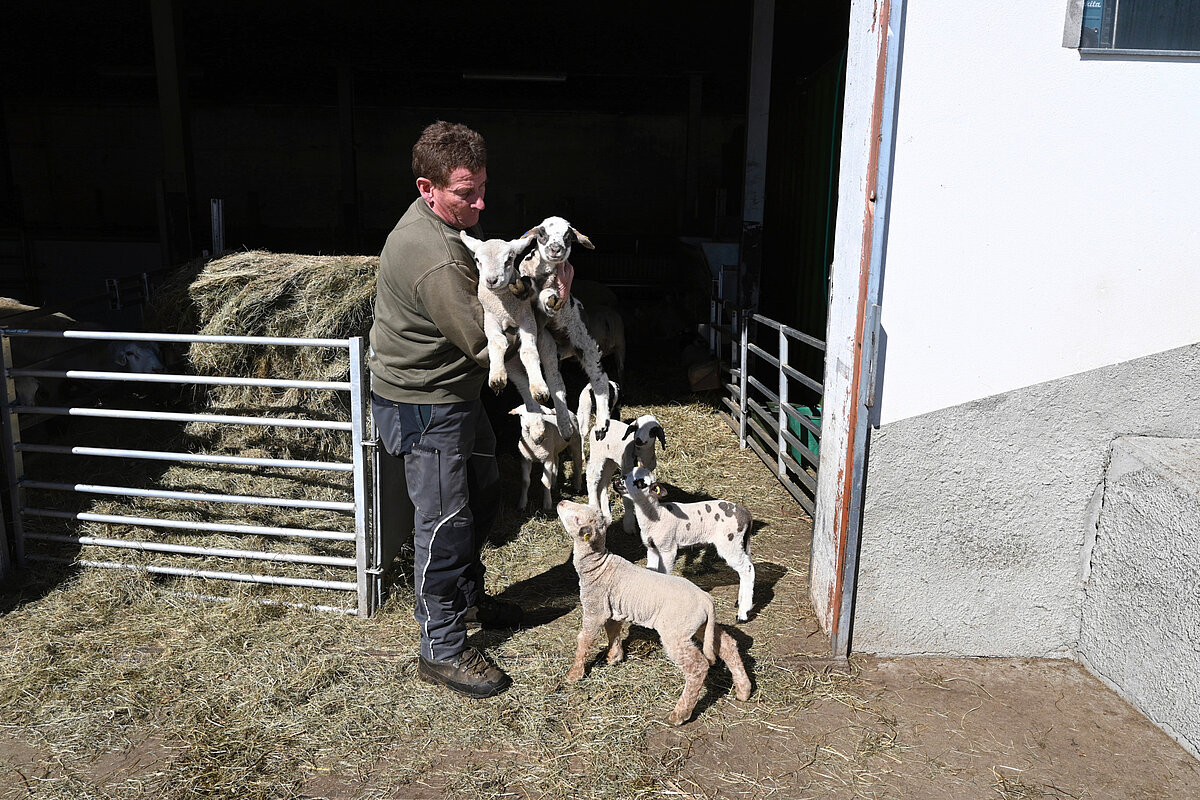 Der Schweizer Bauer: Dieser Landwirt ist ein Daniel Düsentrieb