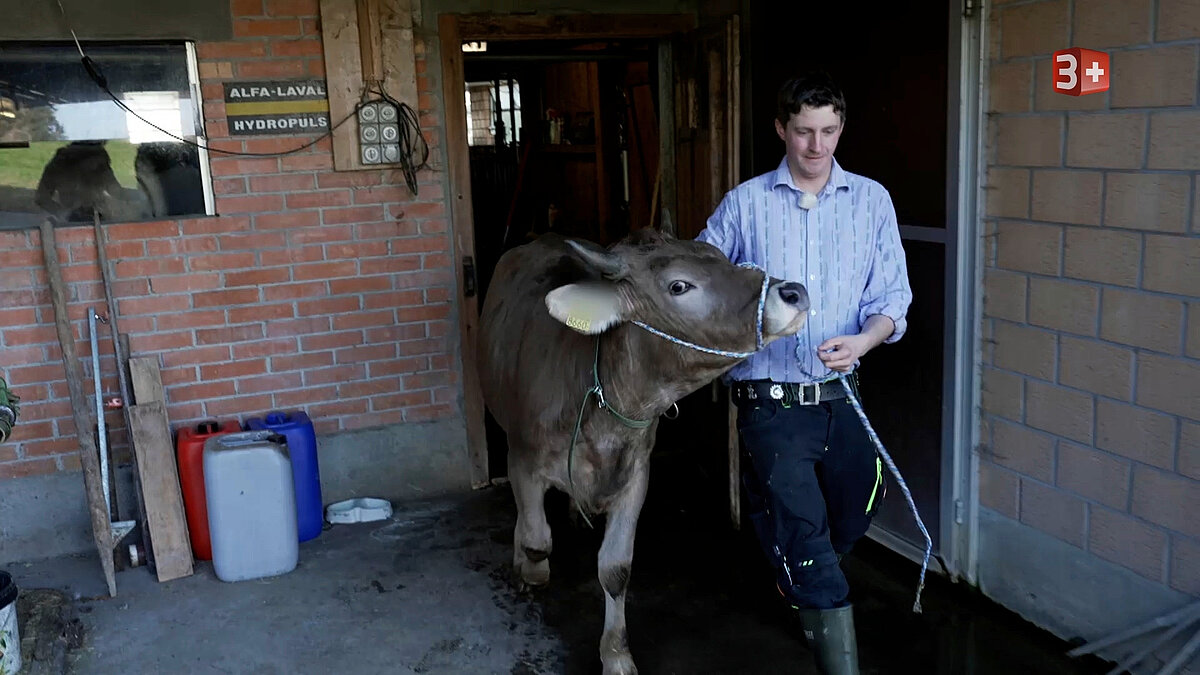 Der Schweizer Bauer: «Bauer, ledig, sucht»: Diese Bauern eröffnen die Jubiläumsstaffel