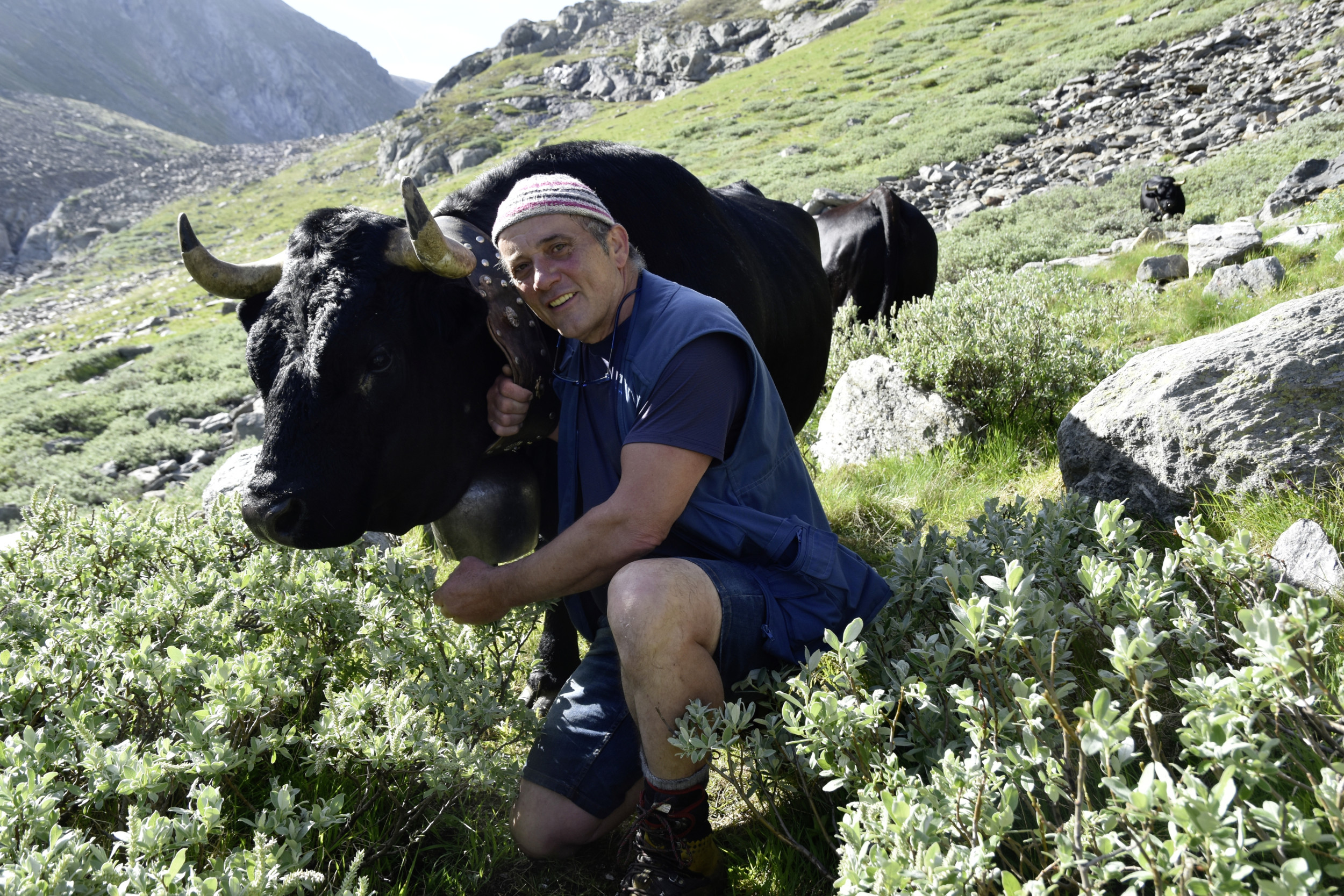 Der Schweizer Bauer: Das Los-Pech wurde zum Glücksfall