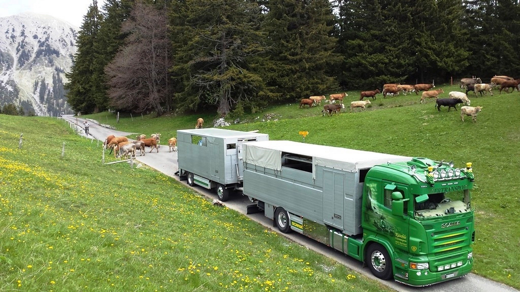 Der Schweizer Bauer: Weniger Lastwagen auf den Alpen