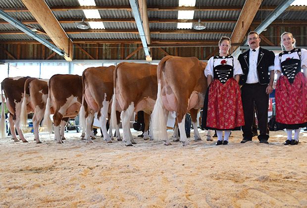 Der Schweizer Bauer: Traumkuh Unic Hella wird Miss