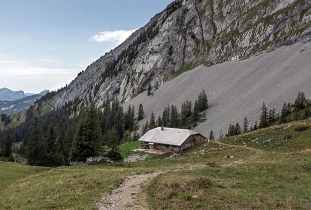 Der Schweizer Bauer: Halbzeit auf der Alp