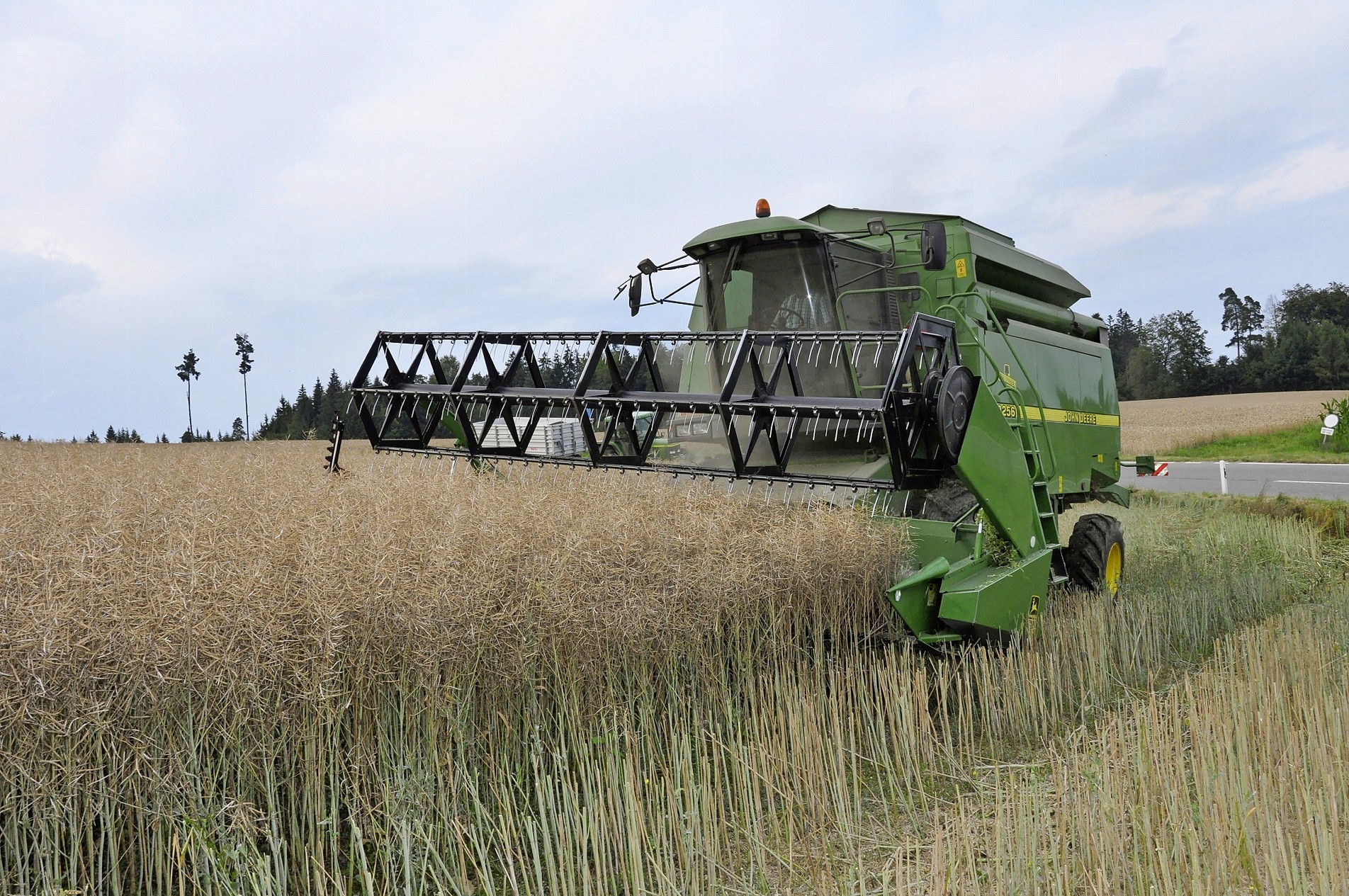 Der Schweizer Bauer: Raps: Pilze sollen Kohlhernie in Schach halten
